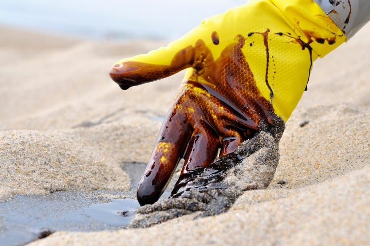 Os efeitos nocivos de um derramamento de óleo - Advento